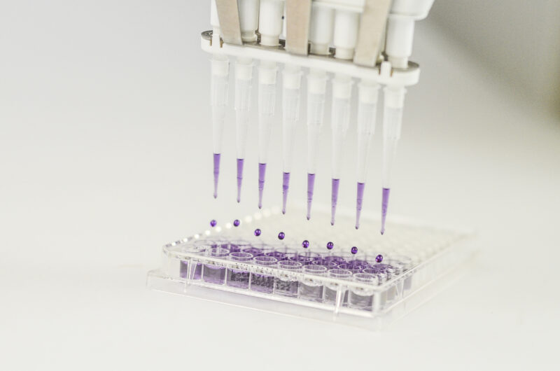 Research project "Migratox": safety assessment of food contact materials